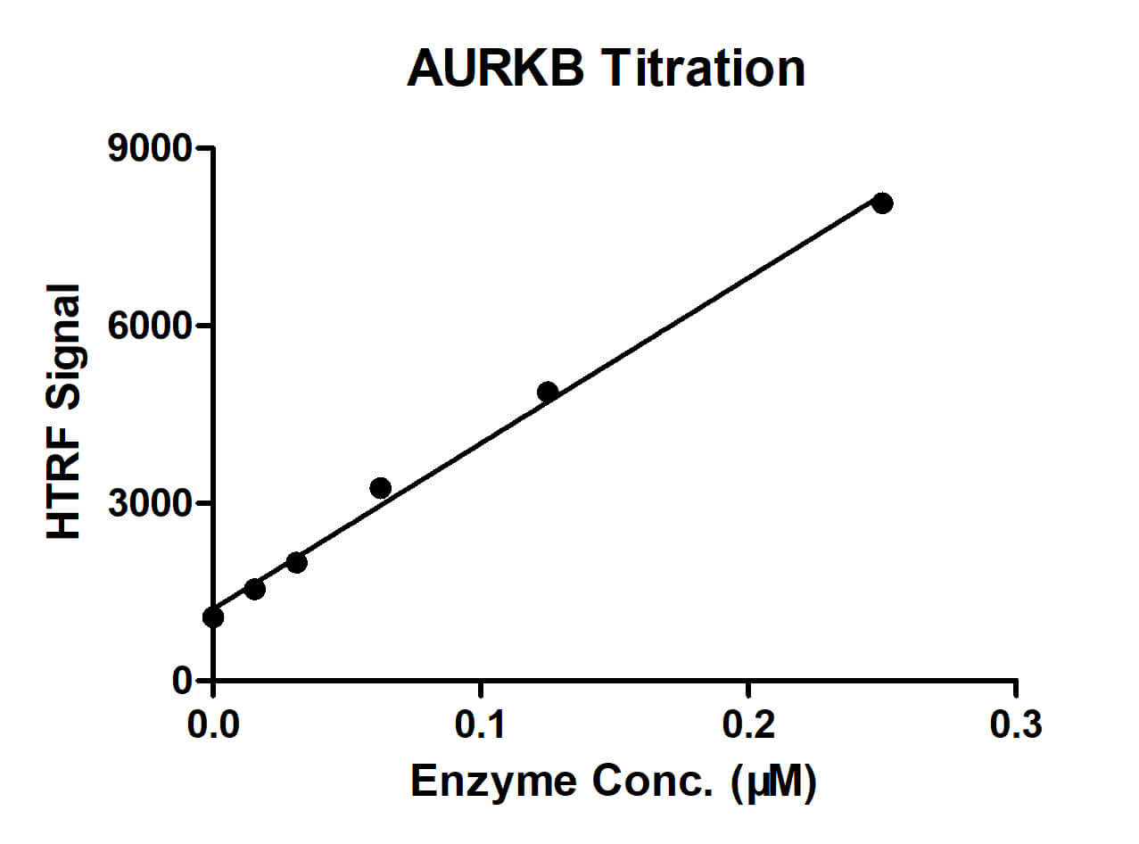 Recombinant AURKA serine / threonine kinase