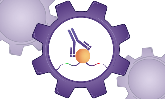 TIP-ChIP Solutions | Products, Services & Education Resources